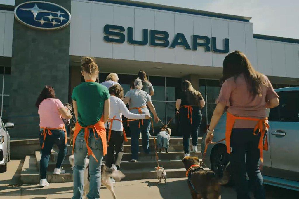 Subaru of America launches Subaru Loves Pets initiative - Sgcarmart